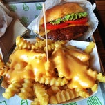Shake Shack - Şahkulu - İstanbul