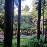 Calderglen Country Park - 1 tip