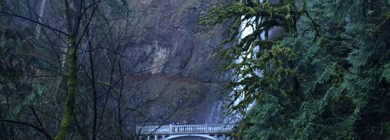 Multnomah Falls - 155 tips from 16492 visitors