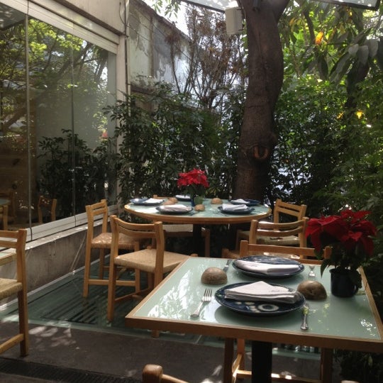 Azul Condesa - Nuevo León 68