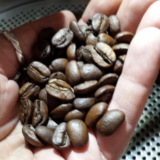 9 Grams Coffee Roasters - Coffee Shop in žilina