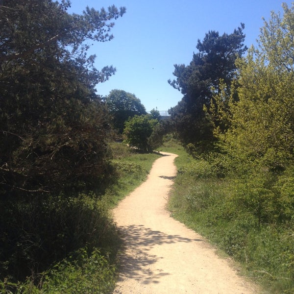 Ainsdale Sand Dunes National Nature Reserve - Pinfold Lane