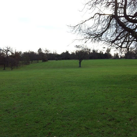 Hylands Park - 3 tips from 560 visitors