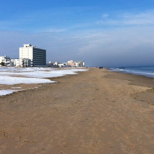 Poodle Beach - Rehoboth Beach, DE