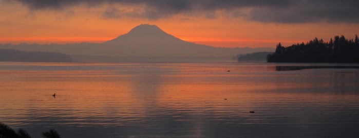 South Puget Sound Region