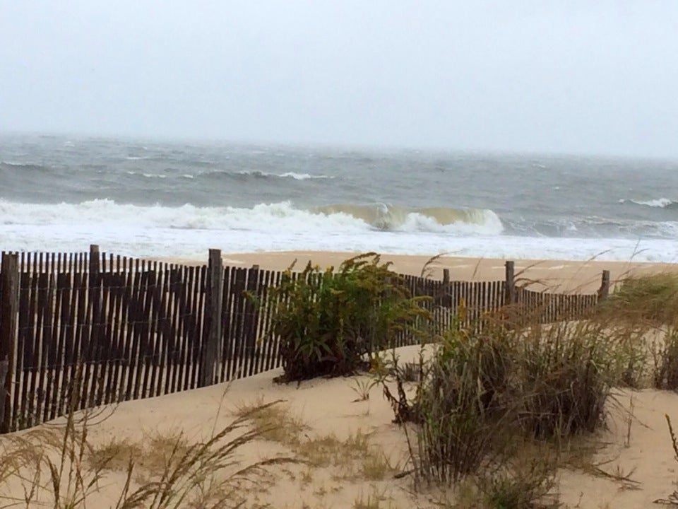 Poodle Beach Photos - GayCities Rehoboth Beach